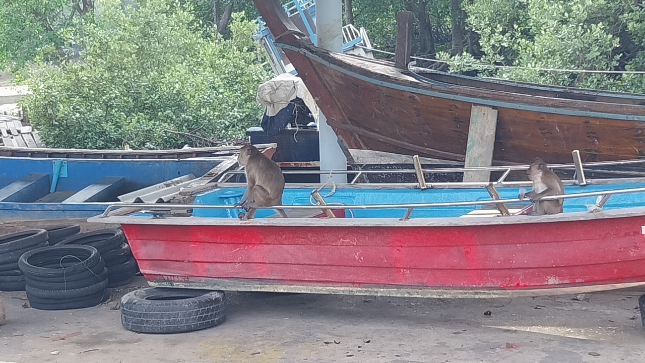 クロンムドン ( Klong Mudong ) | プーケット旅行センターの現地情報ブログ(プーケット観光情報)